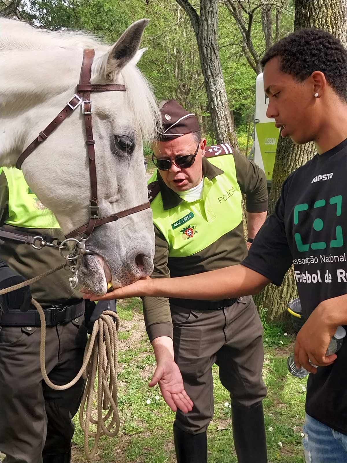 Jovens da ANFR participam em atividade equestre do projeto Ícarus na ...
